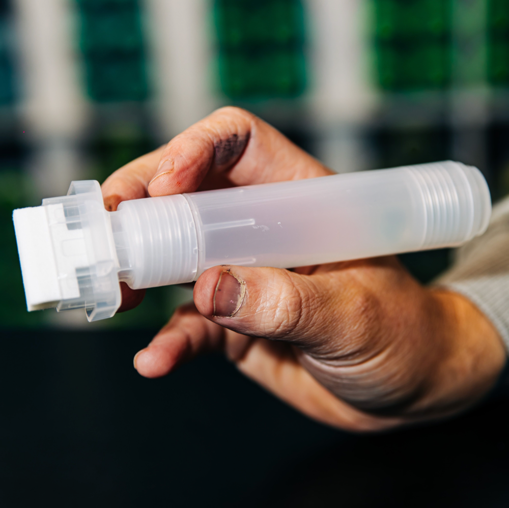 Status - Empty markers, Dabbers and refills | Playstate Supply